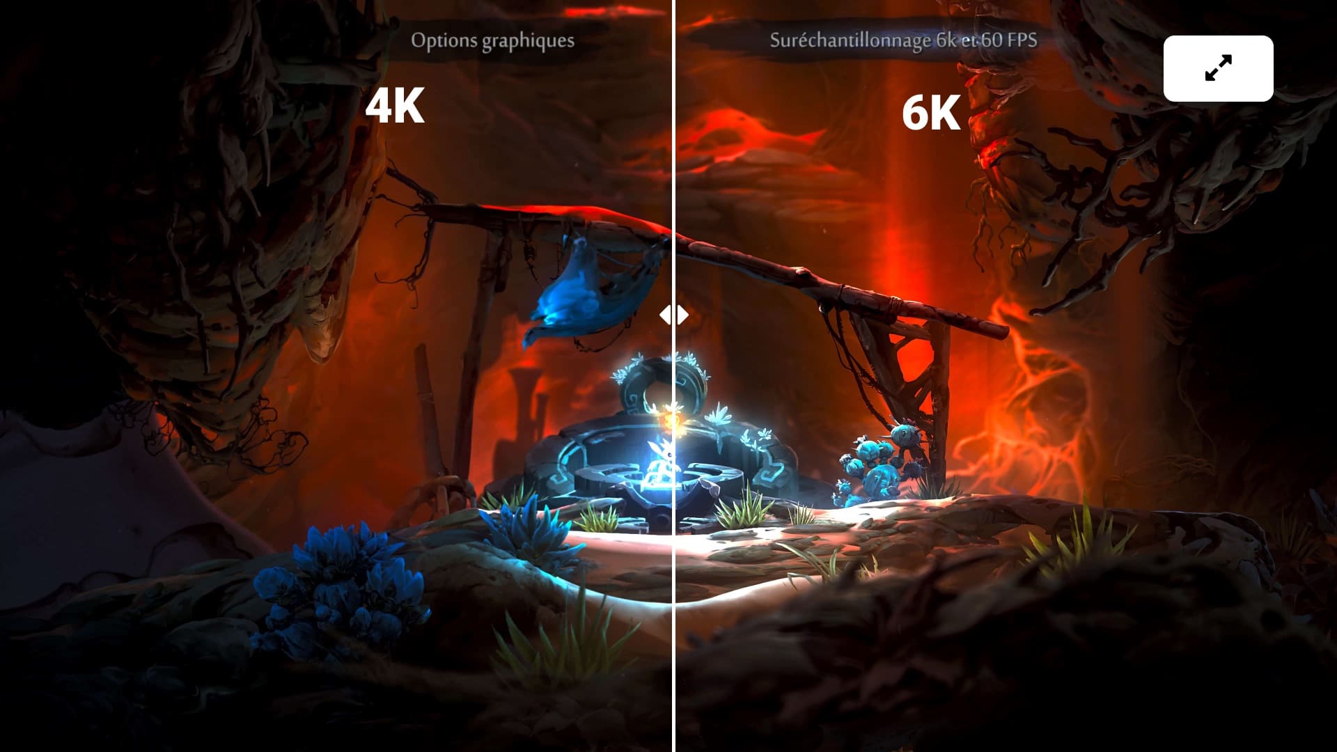 J'ai joué à Ori 2 en 6K 60FPS sur Xbox Series X